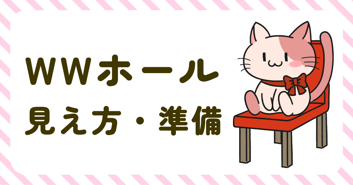 COOL JAPAN PARK OSAKA WWホールの見え方・座席 - Rioブログ